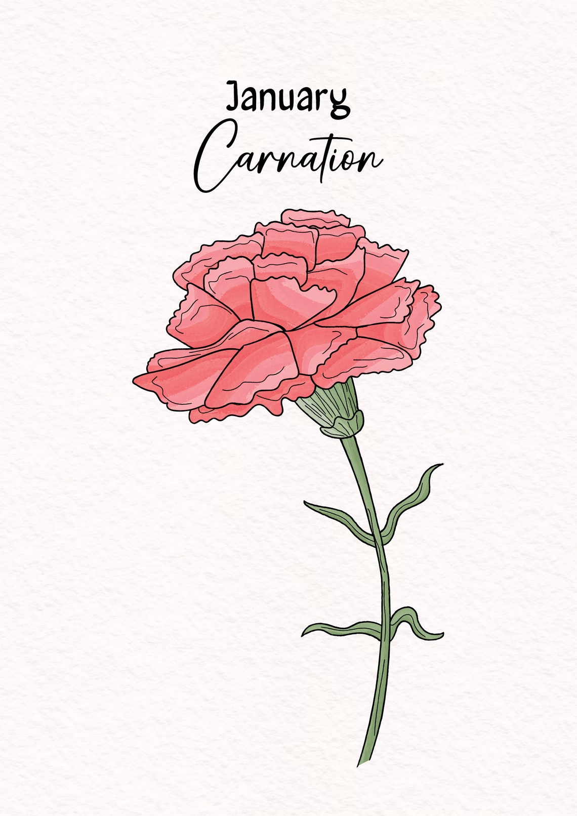 Birth Month Flowers Poster, PRINTABLE, Home Decor, Flower Artwork ...