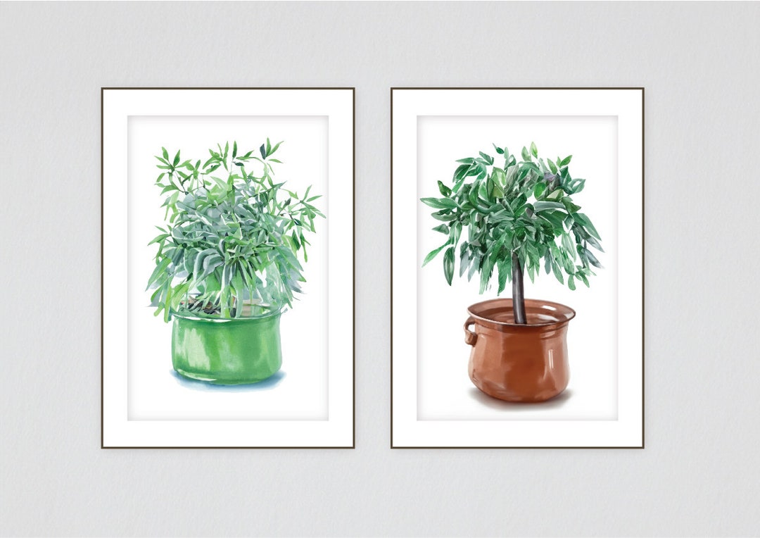 Pot Plant Posters, PRINTABLE, Home Decor, Pot Plant Artwork ...