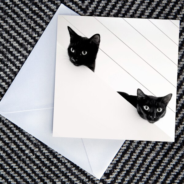 Cat Card - Etsy