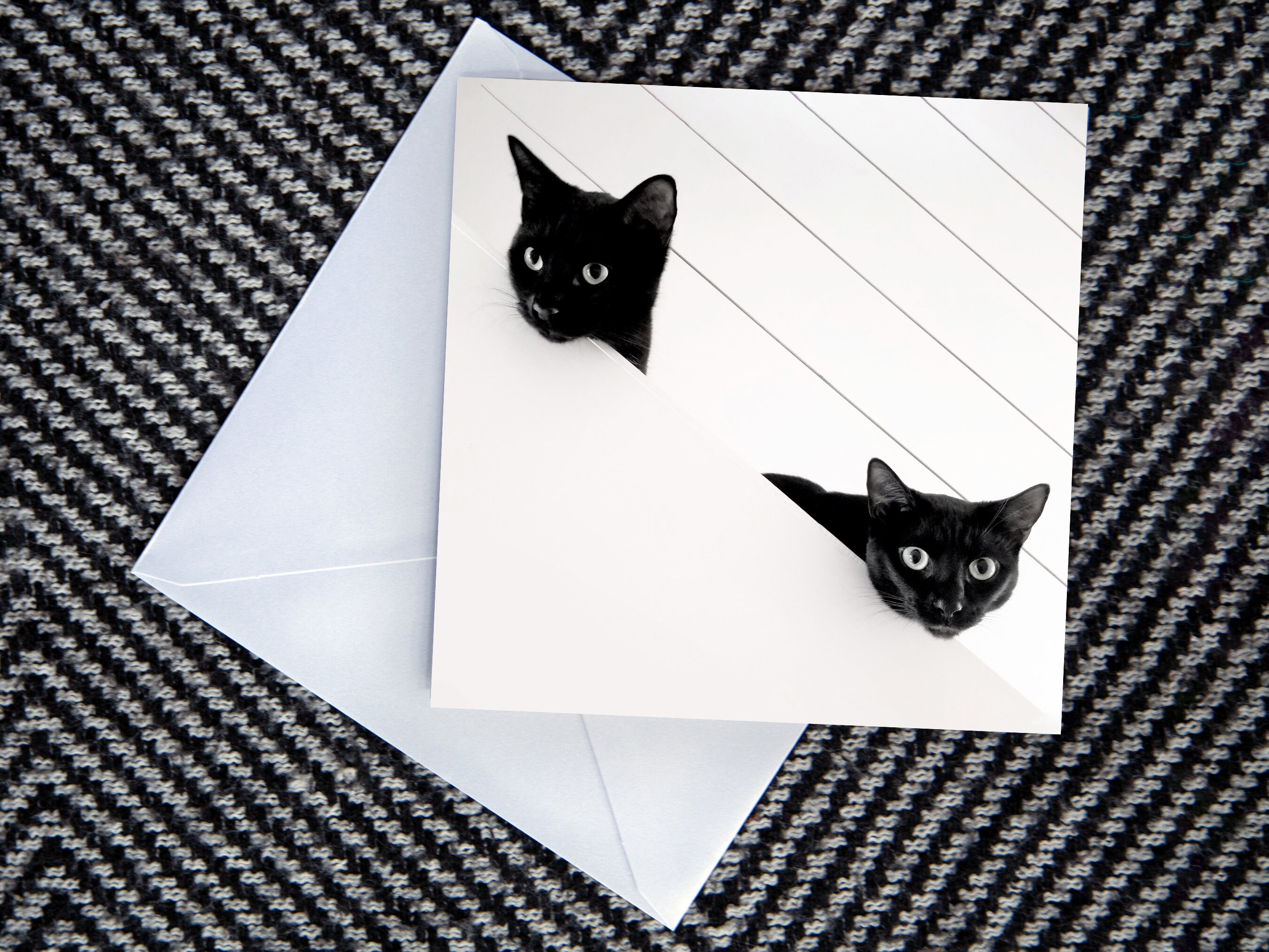 Black Cats Printable Card, Cards for Cat Lovers, Black Cats Printable ...