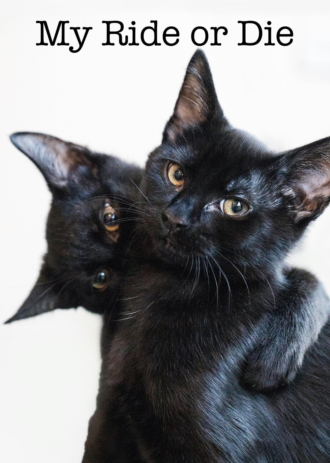 Ride or Die Printable Card, Ride or Die Card, Best Friend Card ...