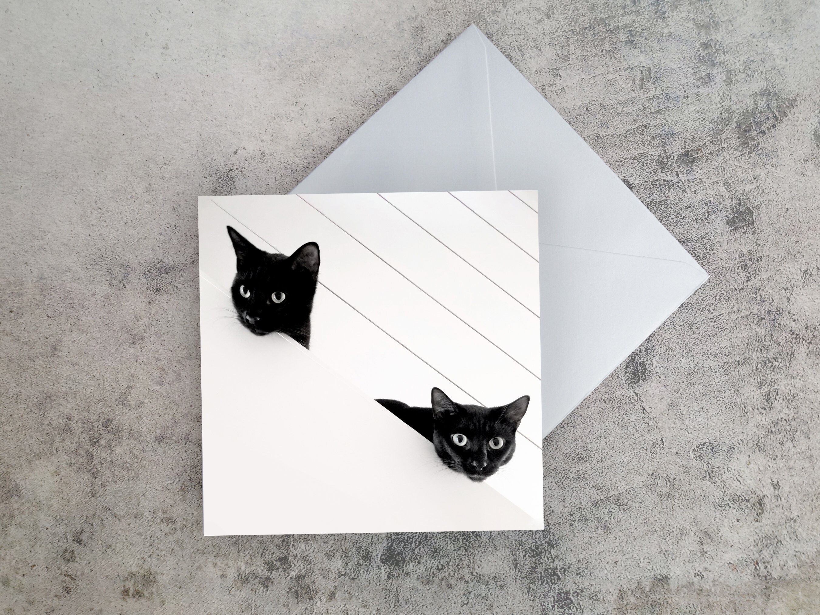 Black Cats Printable Card, Cards for Cat Lovers, Black Cats Printable ...