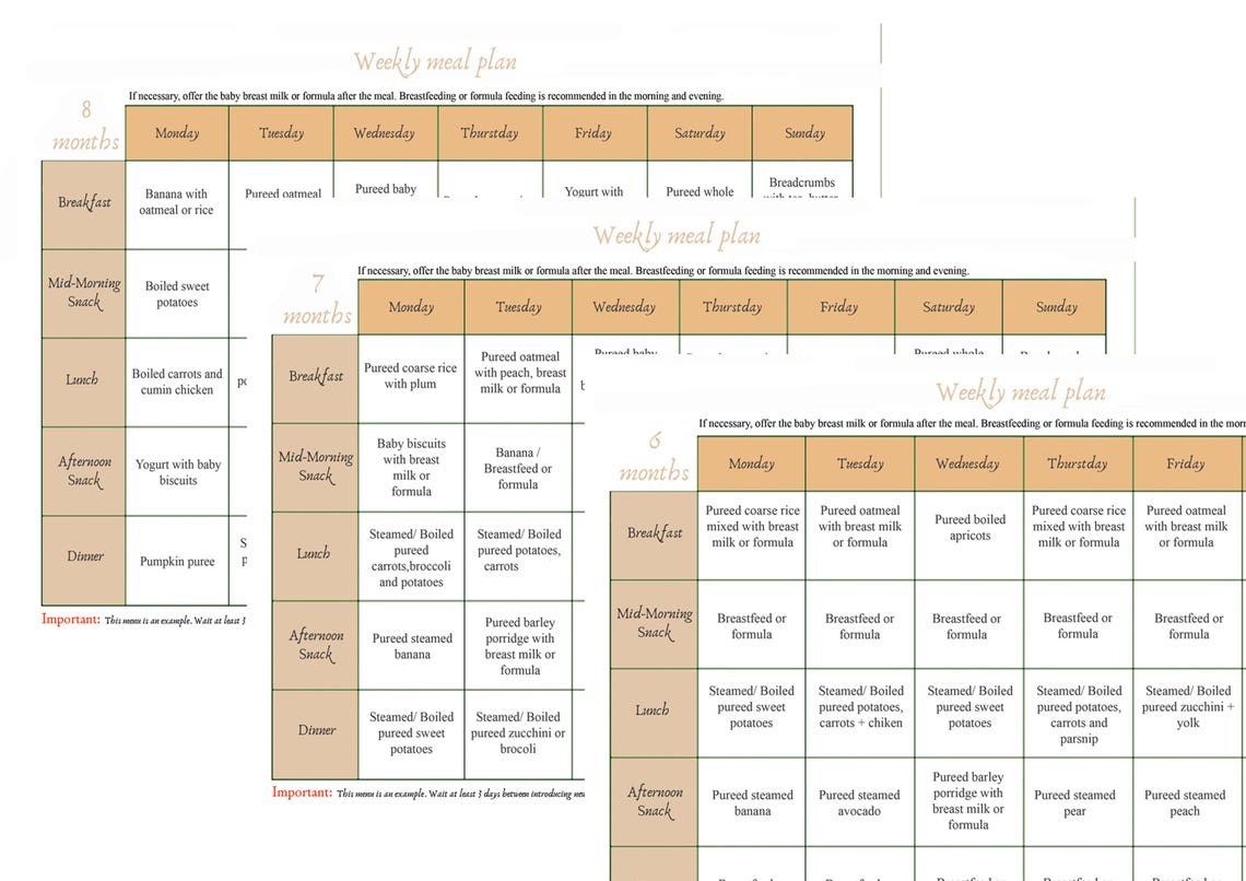 Complete Baby Weekly Meal Plans & Menus for 6th to 11th Months - Etsy