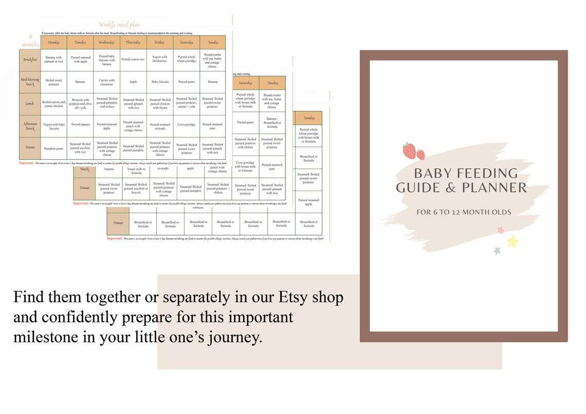 Complete Baby Weekly Meal Plans & Menus for 6th to 11th Months - Etsy