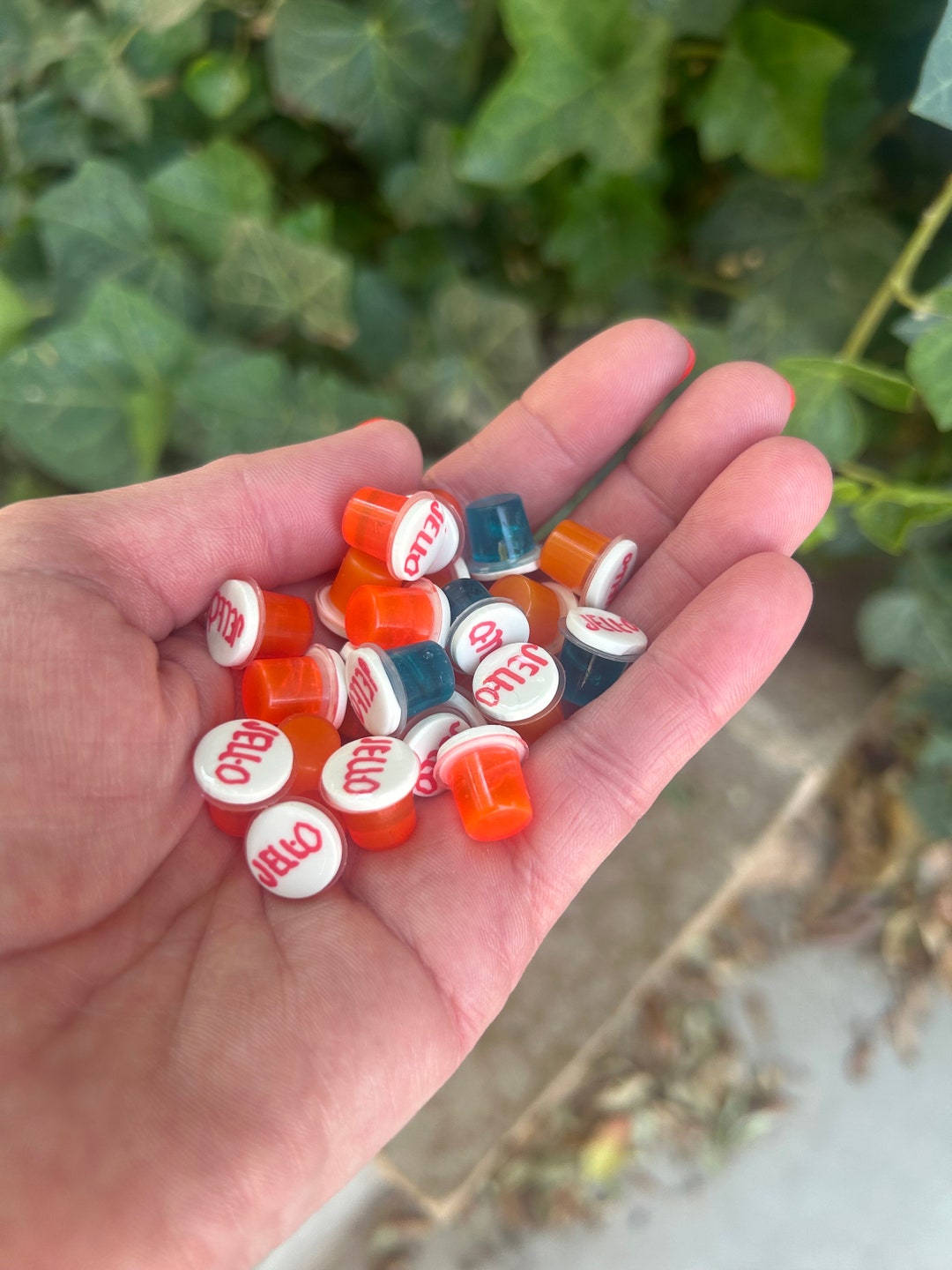 Mini Jello Cups - Etsy