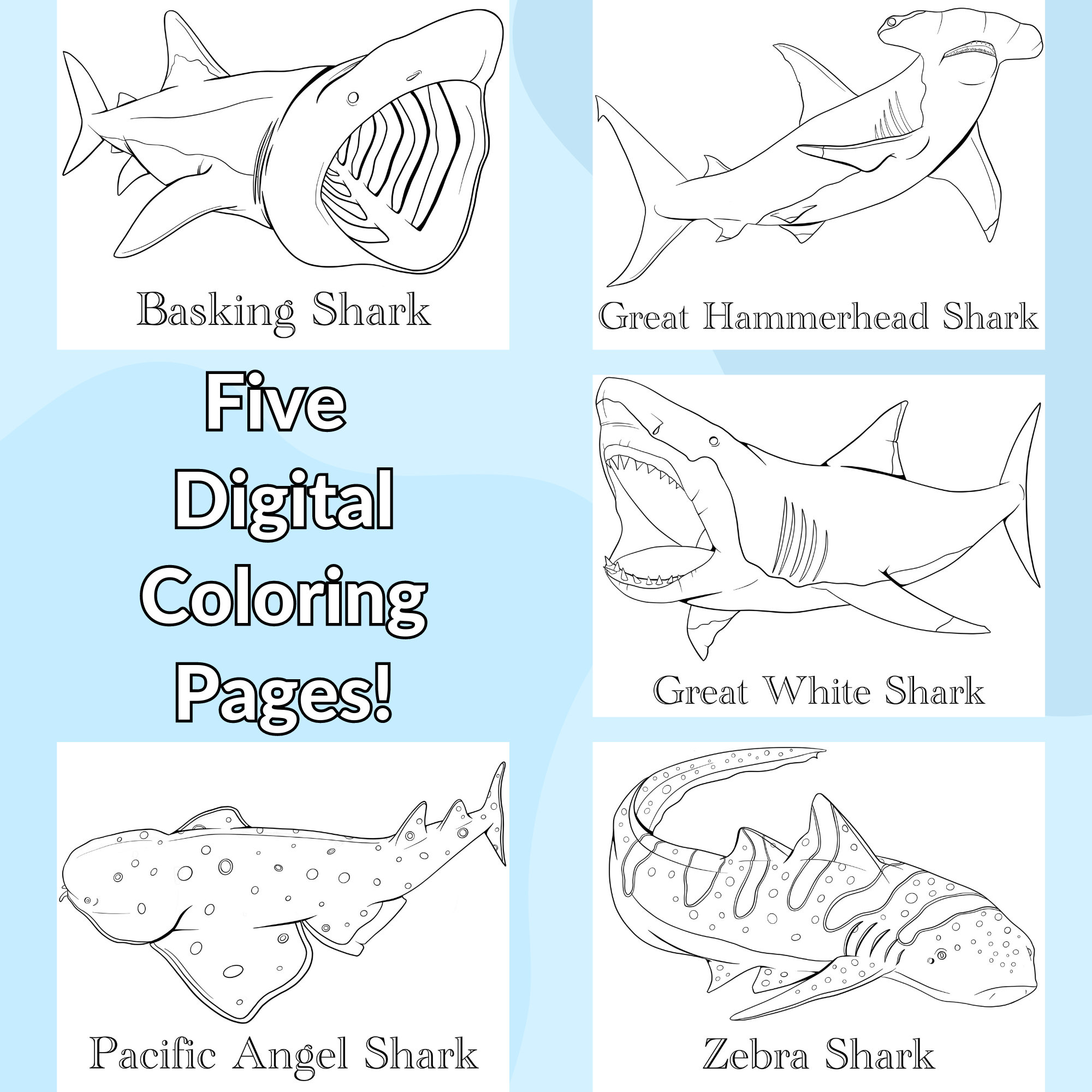 5 Shark Printable Coloring Pages Educational Marine Animals Instant PDF ...