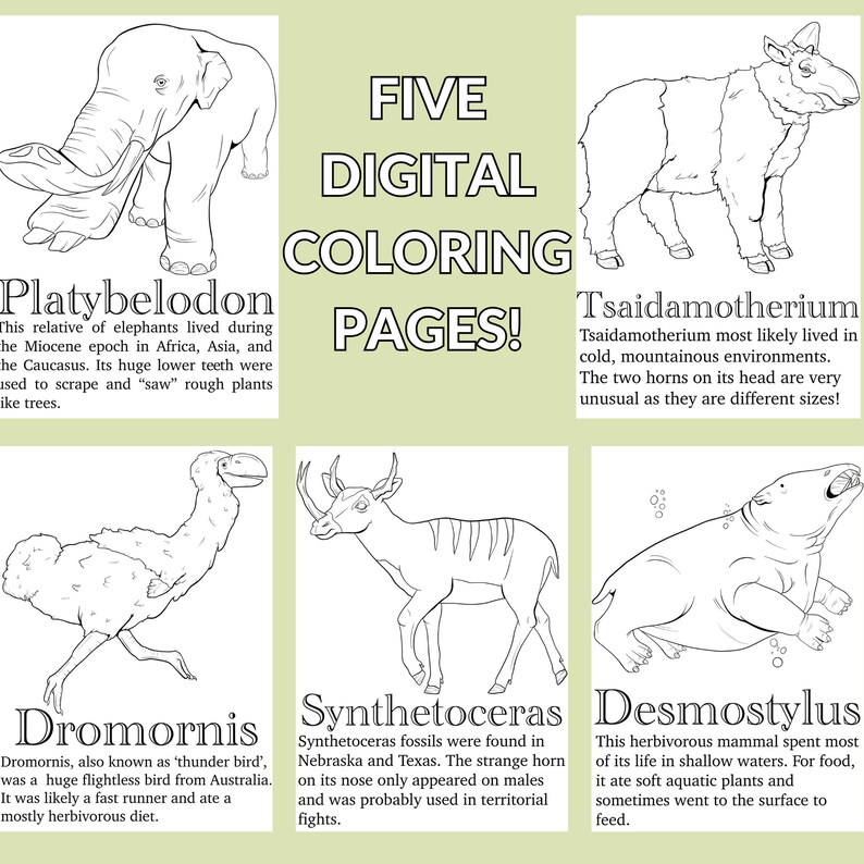 5 Prehistoric Animal Printable Coloring Pages Creatures of the Neogene ...