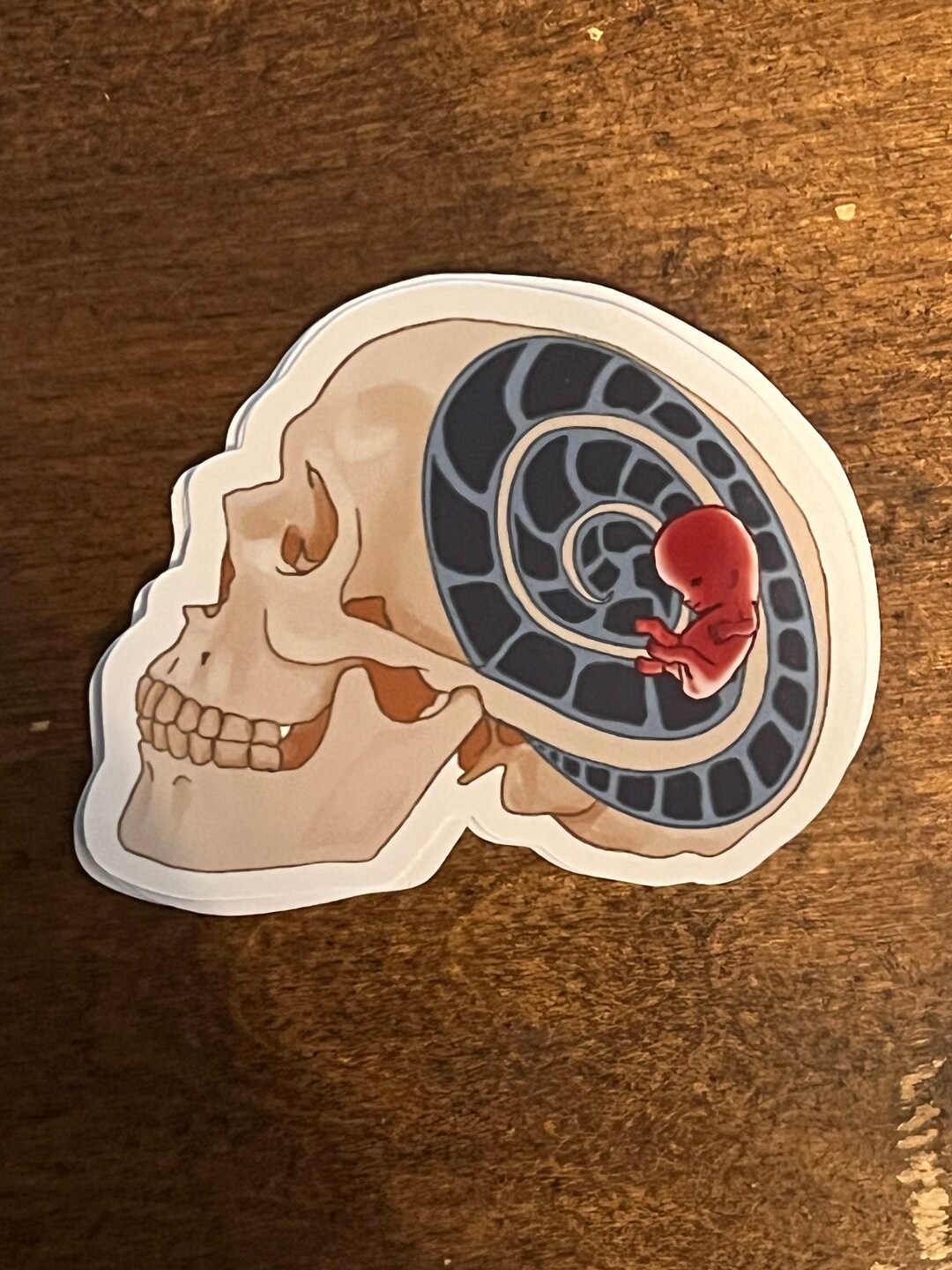 Fetus in Skull Sticker - Etsy