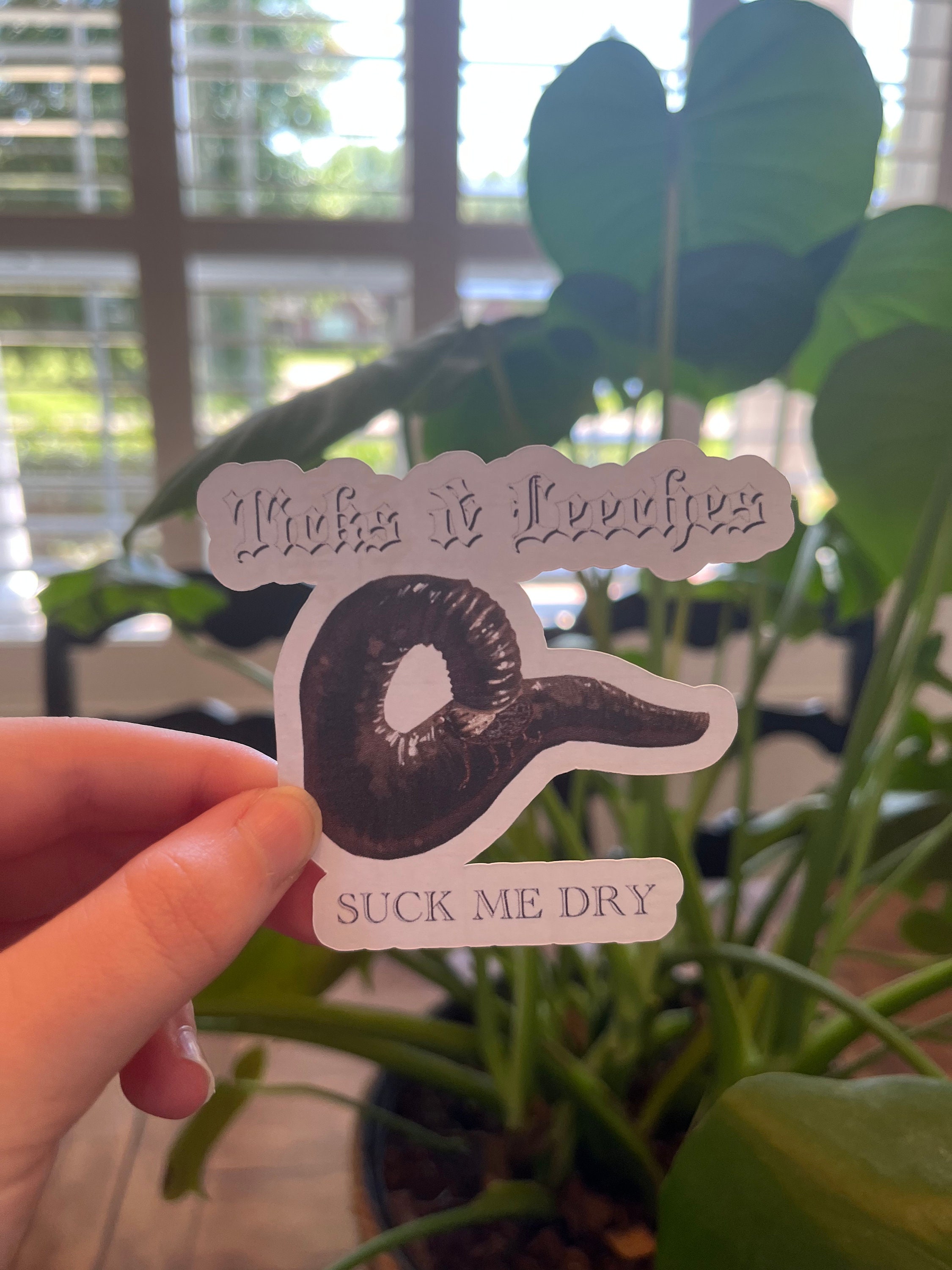 Ticks & Leeches Tool Sticker - Etsy