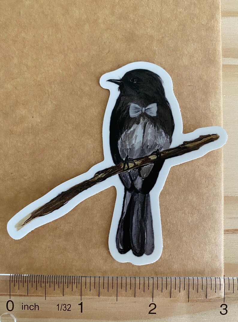Black Phoebe Sticker Cute Bird Sticker Dapper Bird Bird and - Etsy
