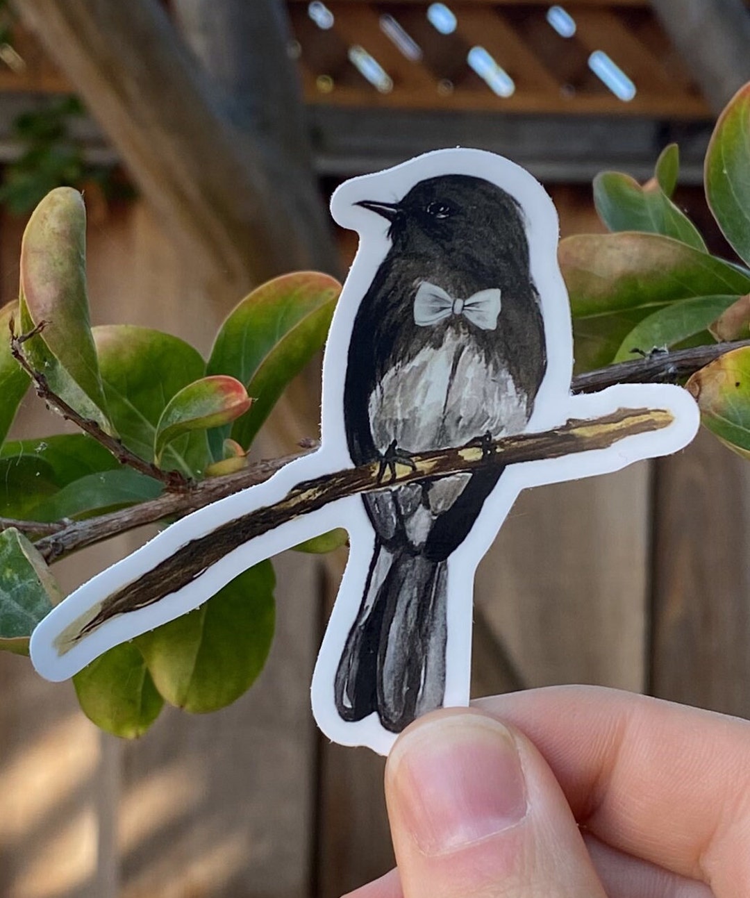 Black Phoebe Sticker, Cute Bird Sticker, Dapper Bird, Bird and Bowtie ...