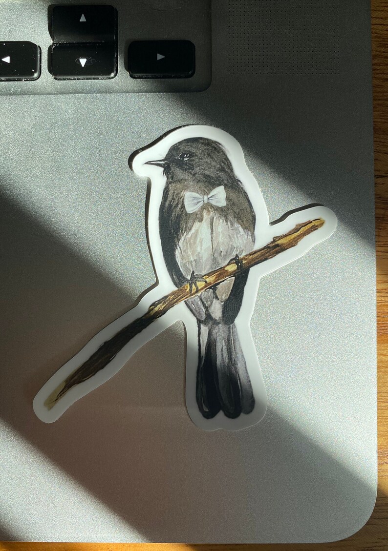 Black Phoebe Sticker Cute Bird Sticker Dapper Bird Bird and - Etsy
