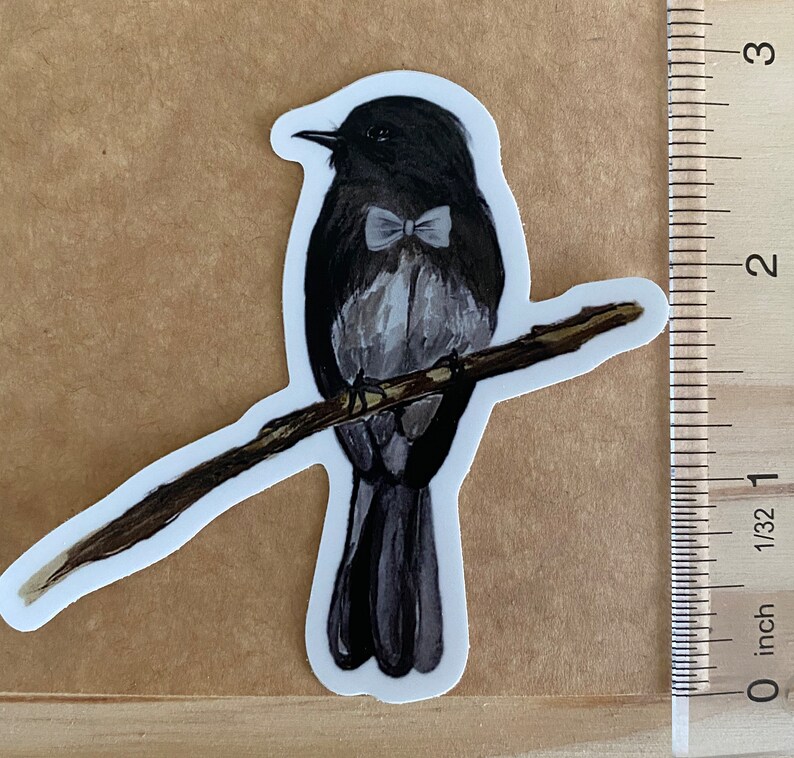 Black Phoebe Sticker Cute Bird Sticker Dapper Bird Bird and - Etsy