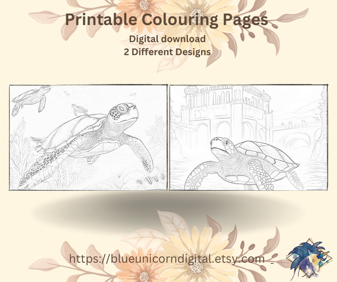 Sea Turtle Coloring Page A4 Printable PDF Kids Coloring - Etsy
