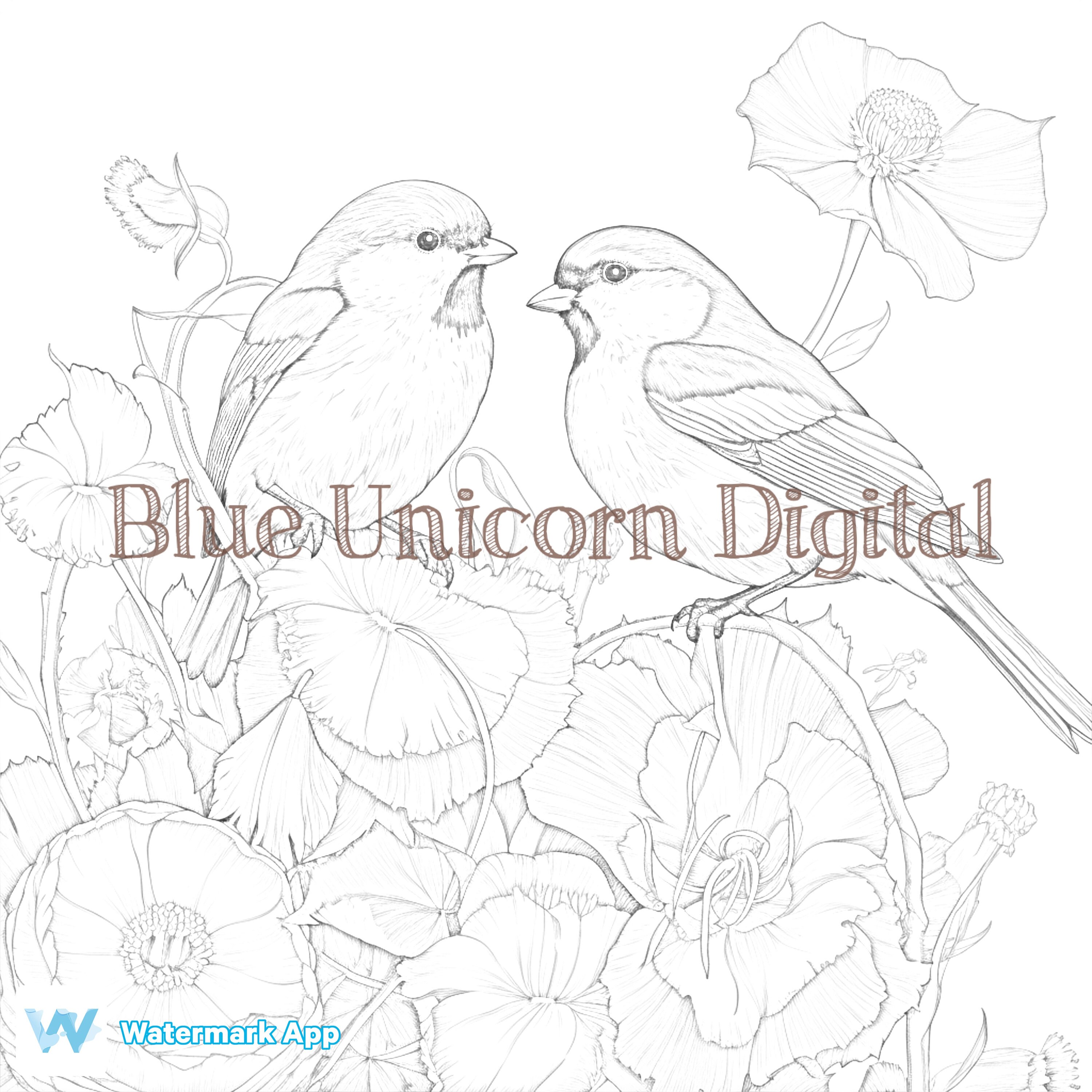 Finch Robin Coloring Pages Printable Painting Traceable Gift - Etsy