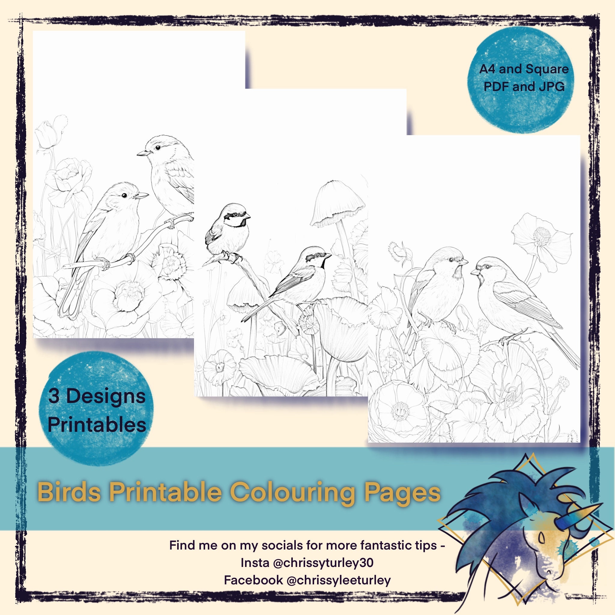 Finch Robin Coloring Pages Printable Painting Traceable Gift - Etsy