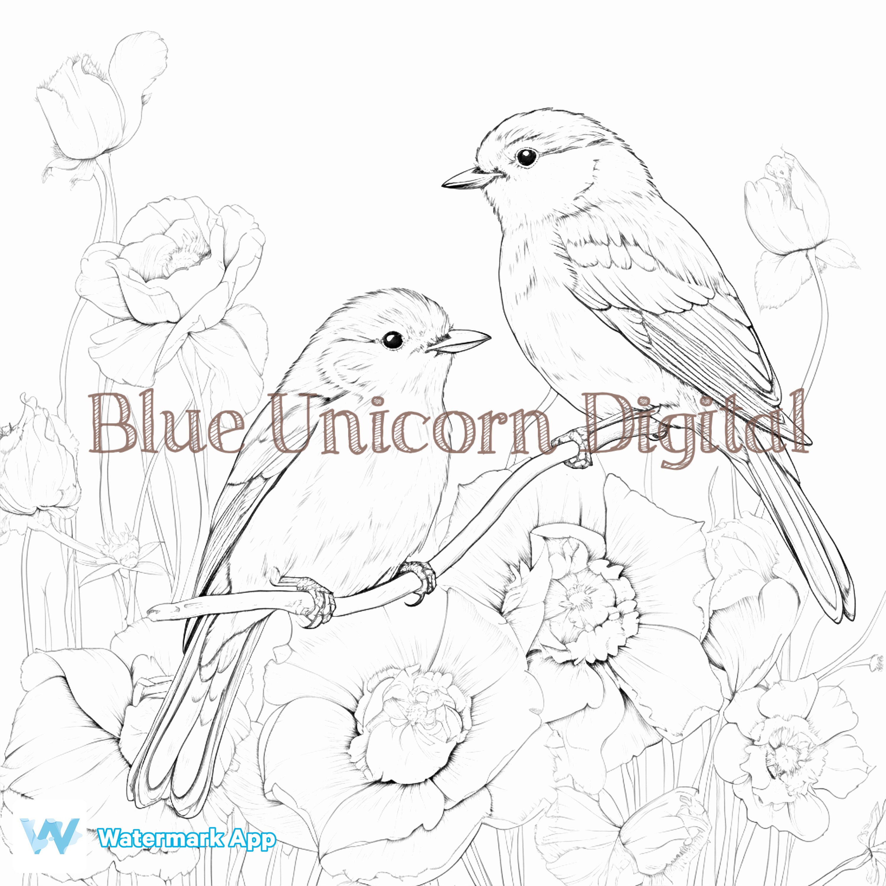 Finch Robin Coloring Pages Printable Painting Traceable Gift - Etsy