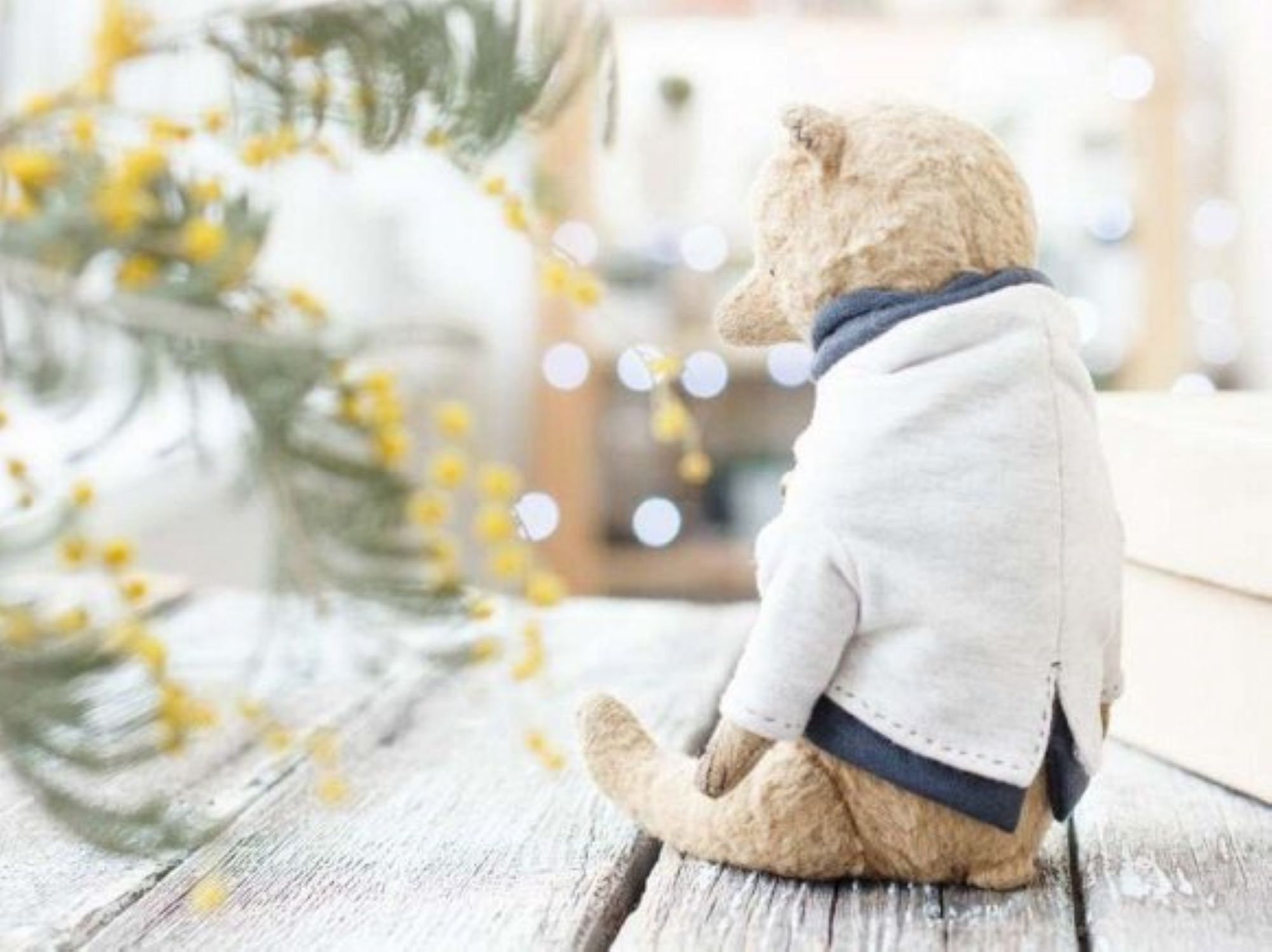 Teddy Bear Tutorial, Teddy Bear Sewing Pattern, Teddy Bear Pattern ...