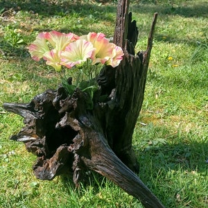 Live Edge Planter - Etsy