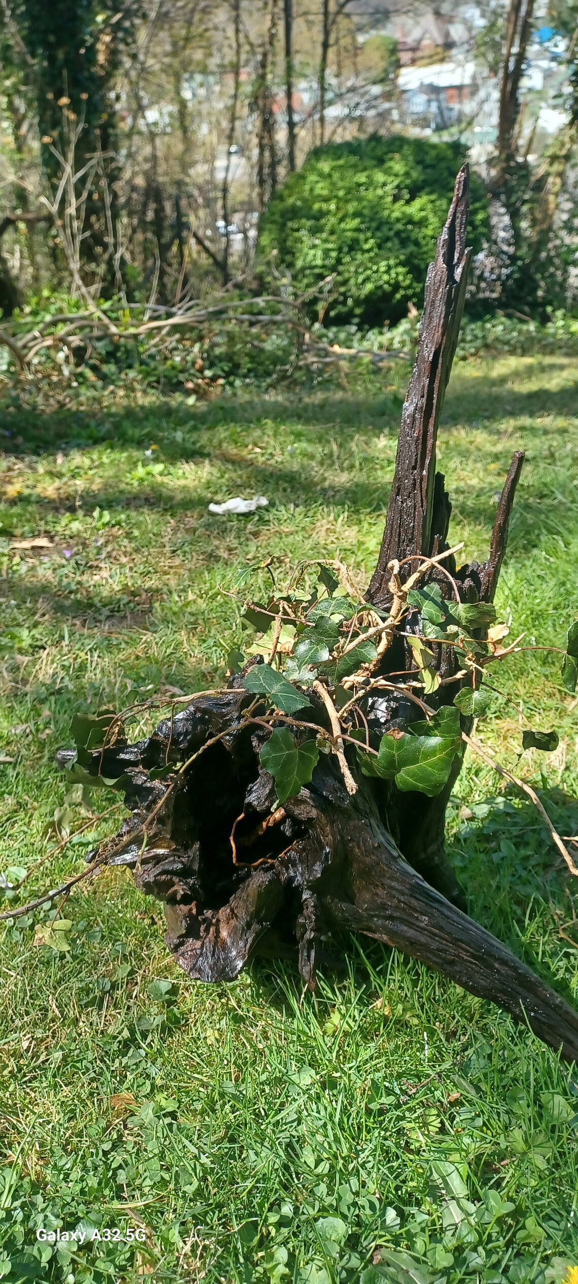 Live Edge Planter - Etsy