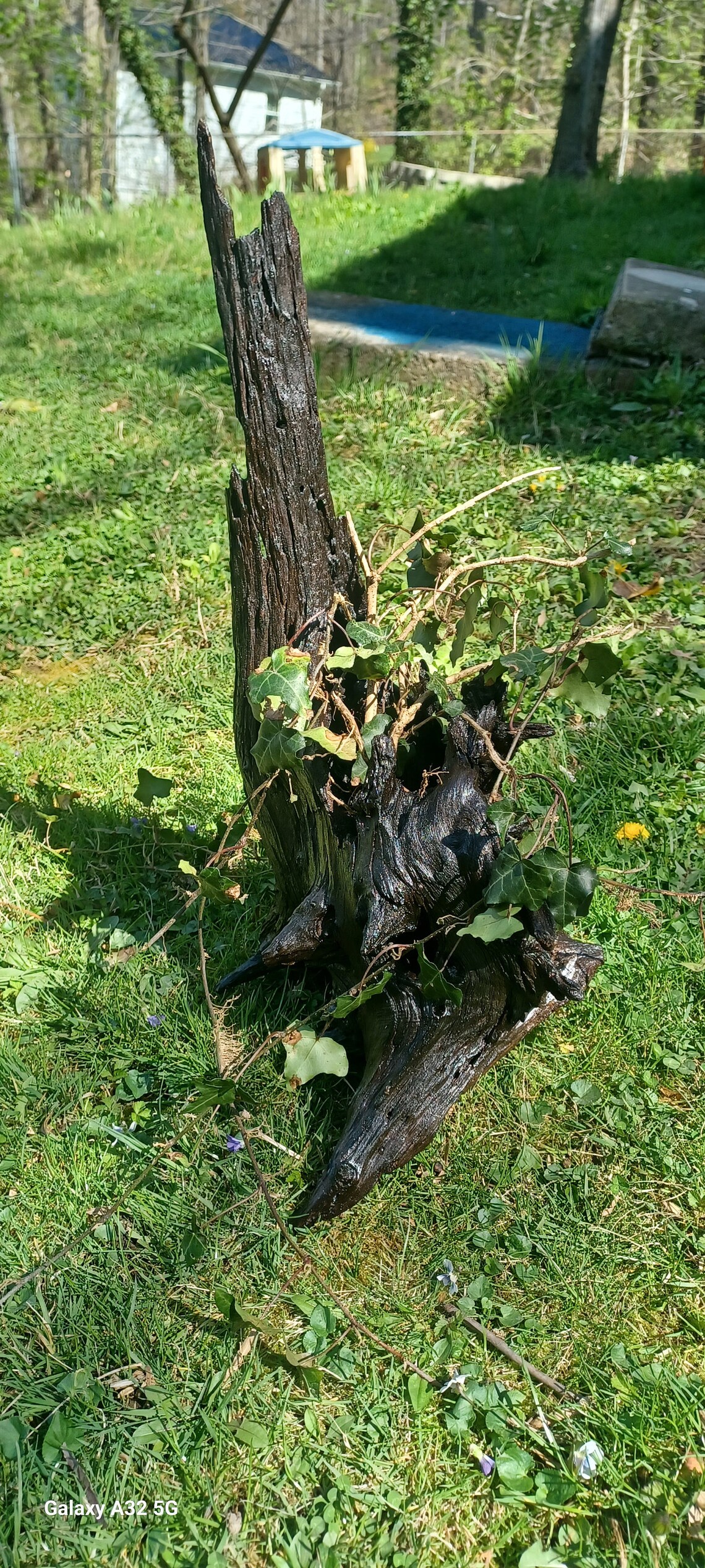 Live Edge Planter - Etsy