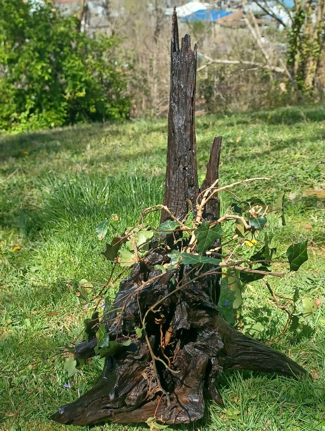 Live Edge Planter - Etsy
