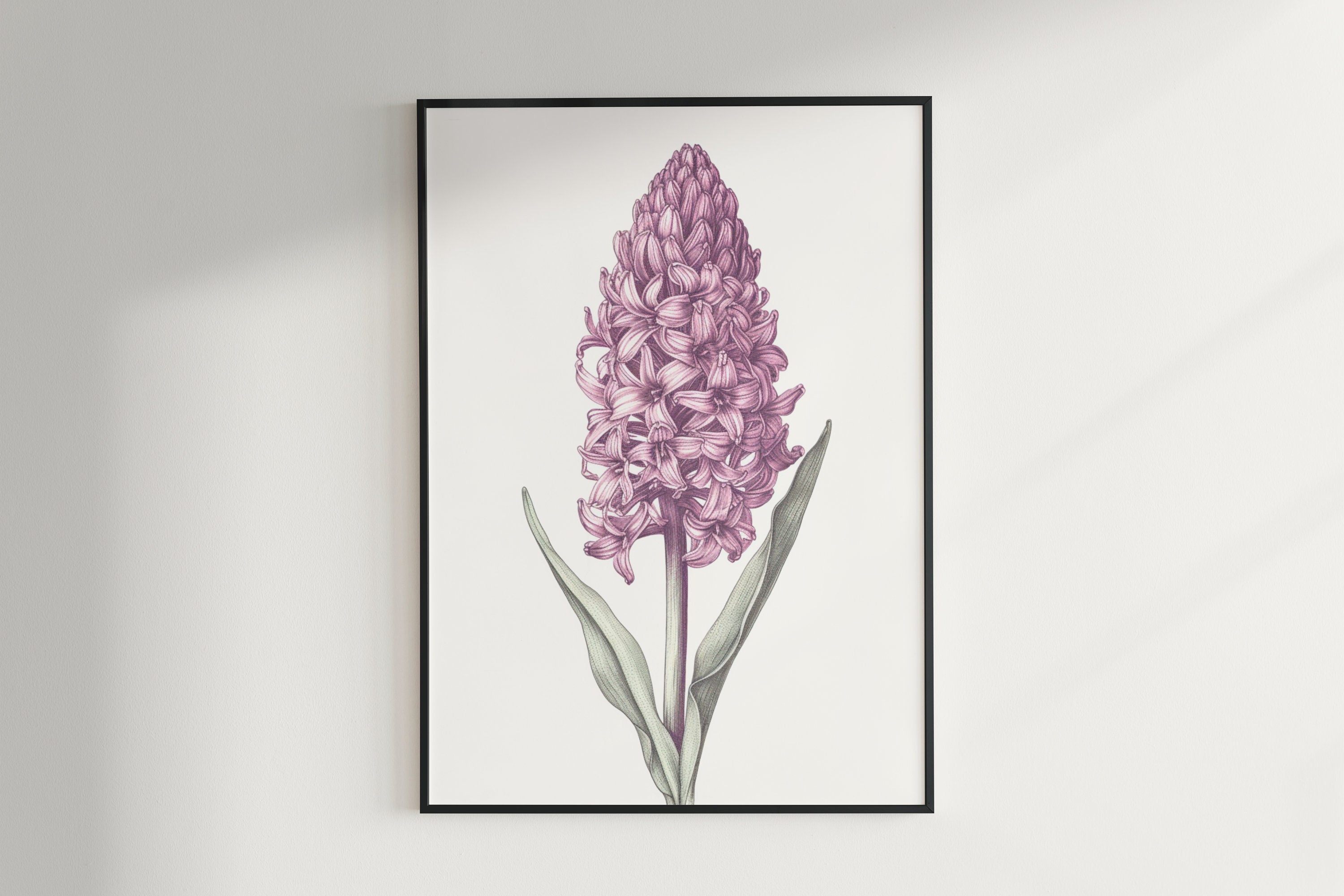 Hyacinth Vintage Botanical Print of Flowers, Rustic Floral Wall Art ...