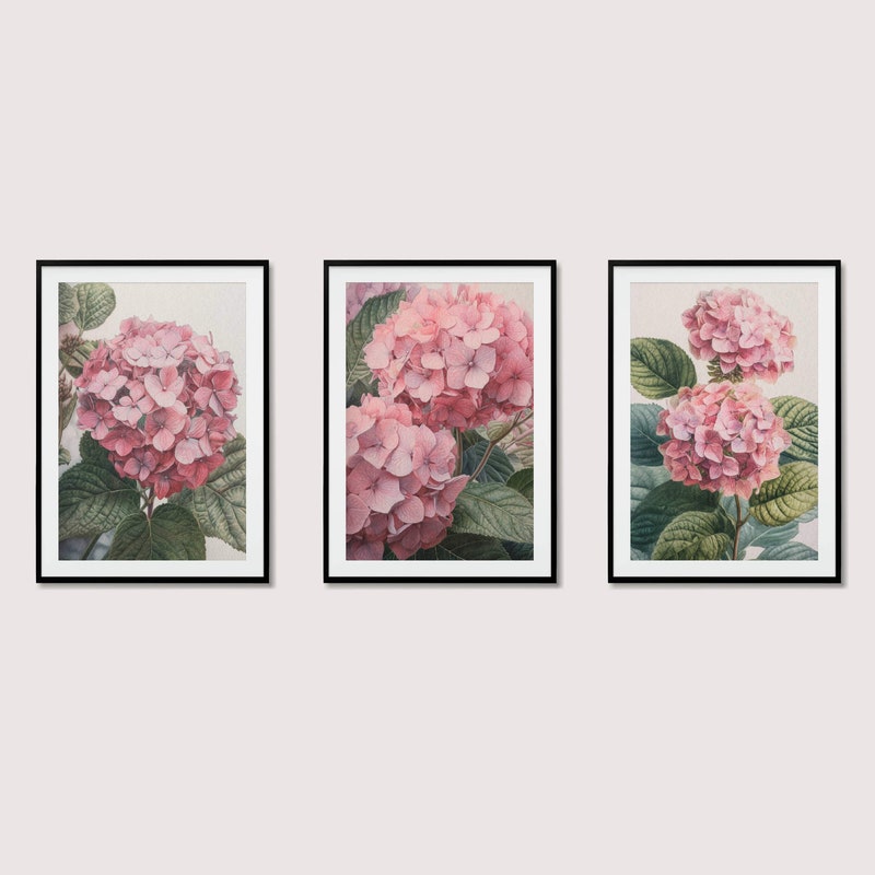 Hydrangea Print - Etsy
