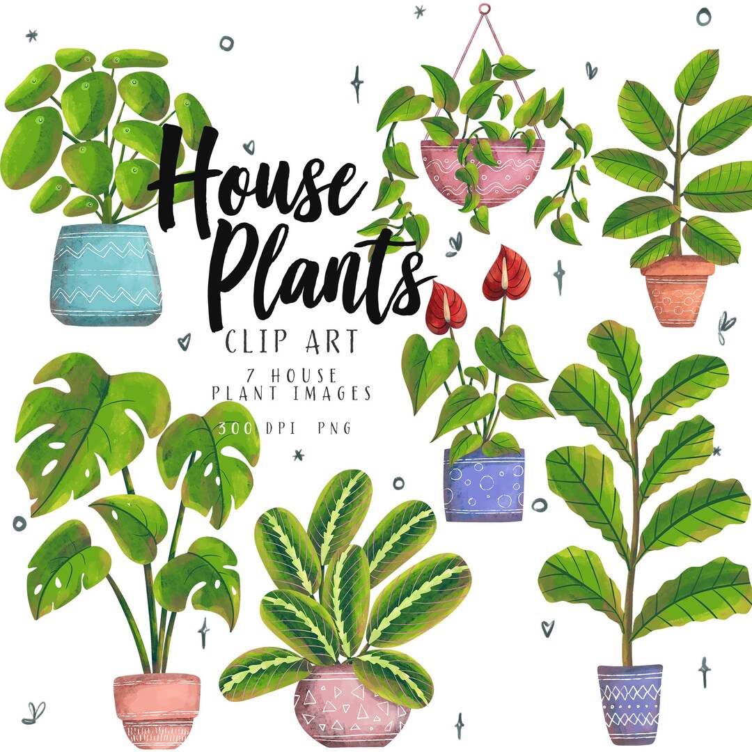 House Plants Clipart, House Plants Illustrations, Digital Download ...