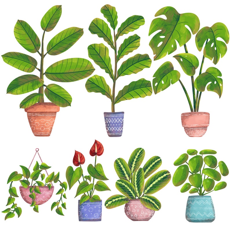 House Plants Clipart, House Plants Illustrations, Digital Download ...