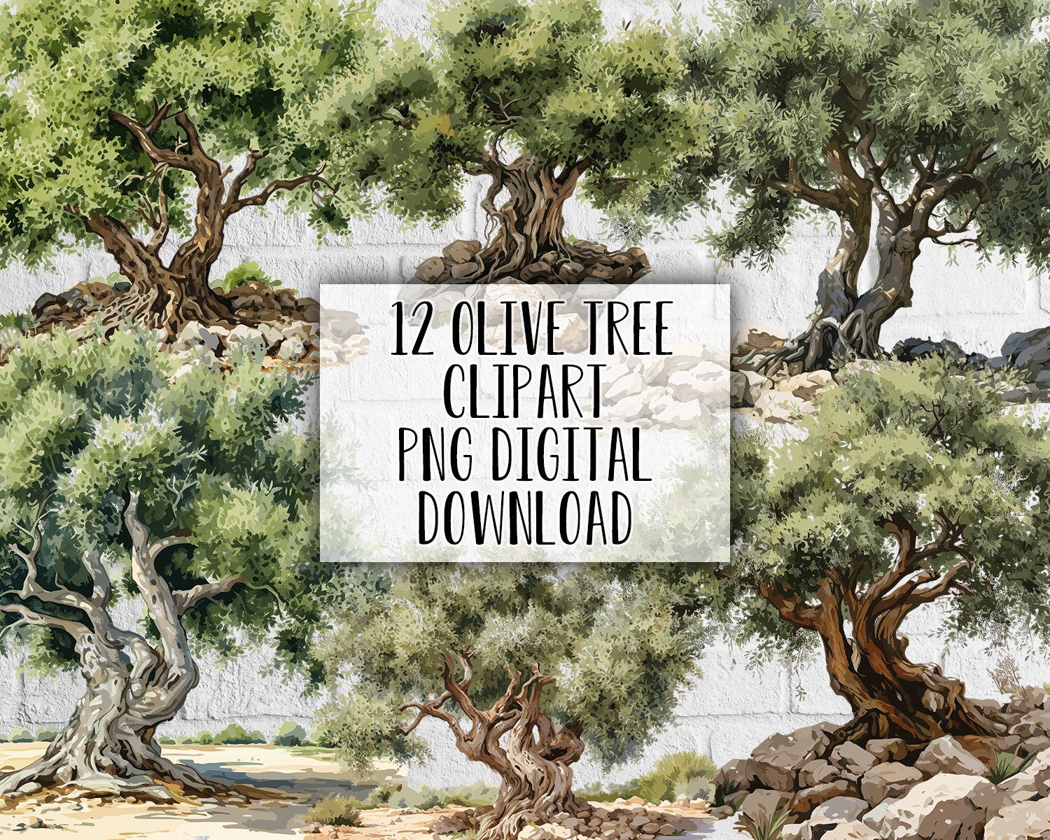 12 Olive Tree Clipart - Printable Art for Crafts, Scrapbooking, and ...