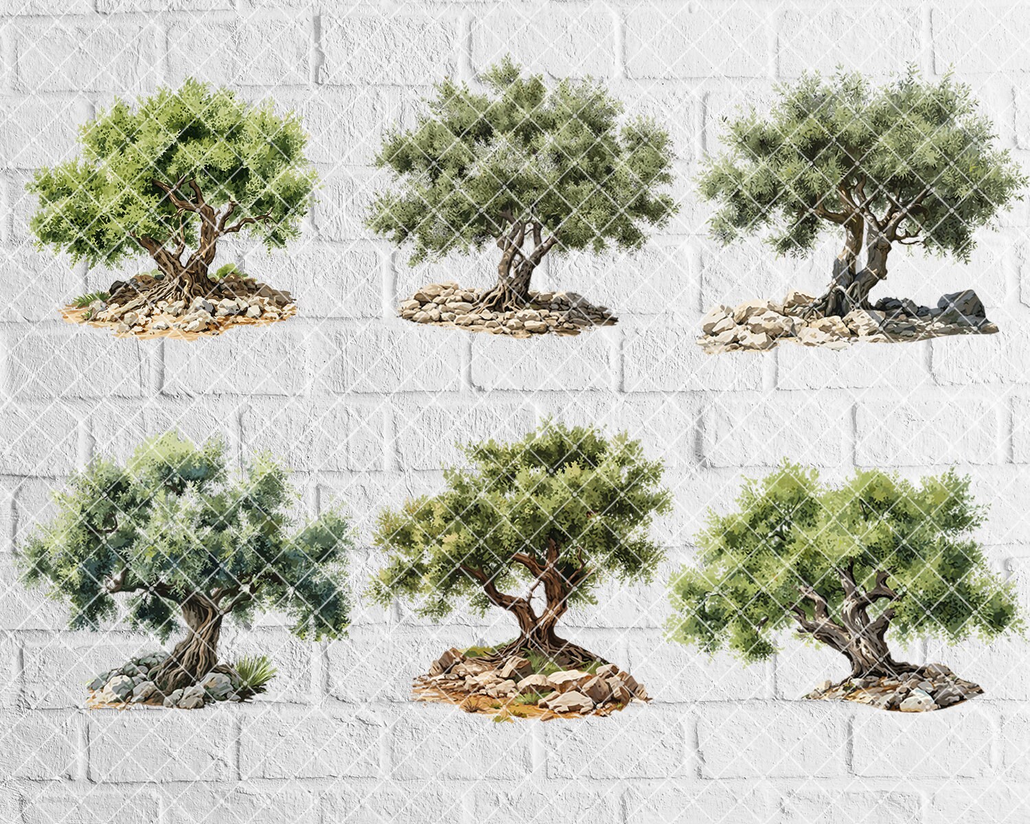12 Olive Tree Clipart - Printable Art for Crafts, Scrapbooking, and ...