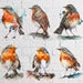 12 Watercolor Robin Clipart Printable Art for Crafts, Scrapbooking, and ...