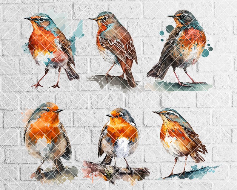 12 Watercolor Robin Clipart - Printable Art for Crafts, Scrapbooking ...