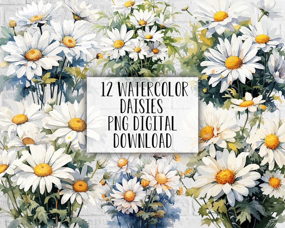 12 Watercolor Daisies Clipart - Printable Art for Crafts, Scrapbooking ...