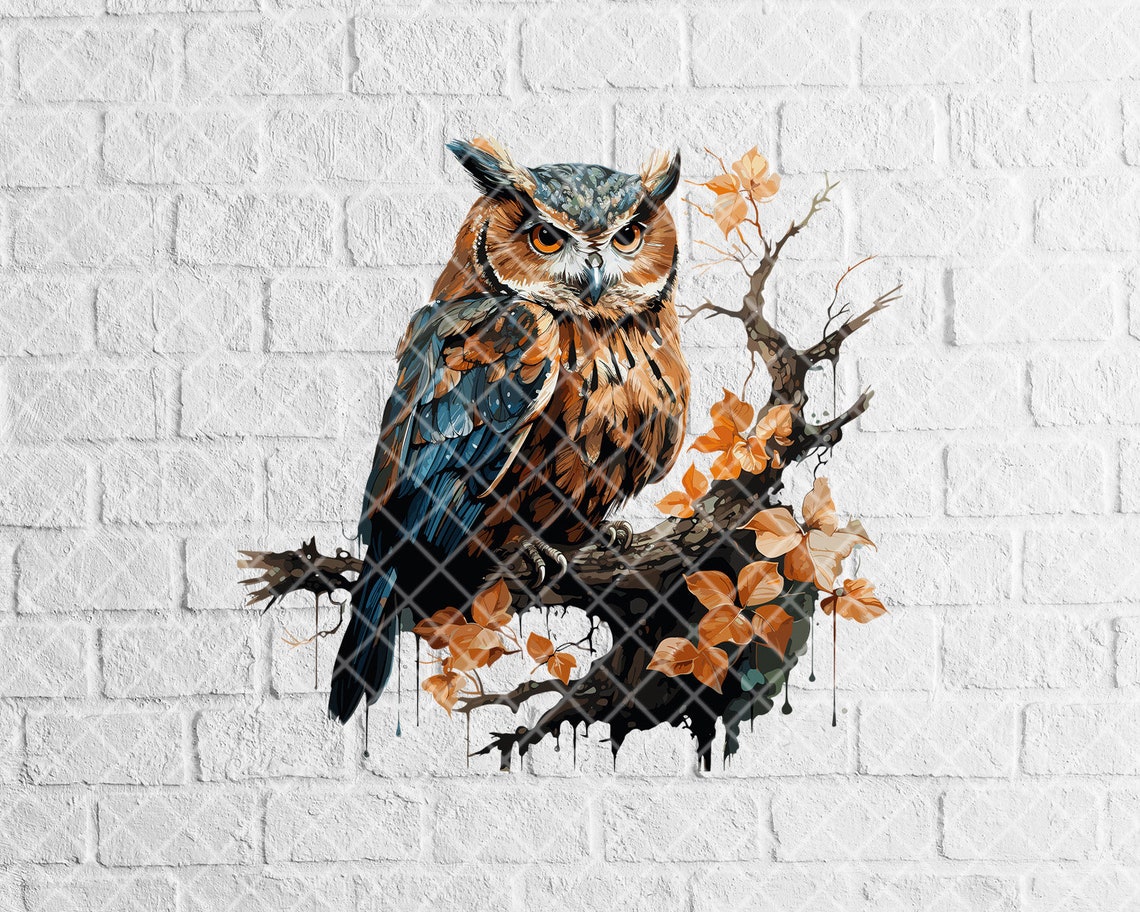 Watercolor Owl Clipart With Floral Accents Set of 10 PNG - Etsy