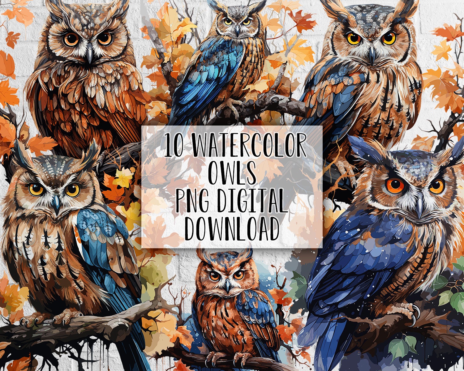 Watercolor Owl Clipart With Floral Accents - Set of 10 PNG Digital ...