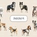 Dog Breeds Digital Clip Art Dog Breeds Clipart Set Dog Breeds Printable ...