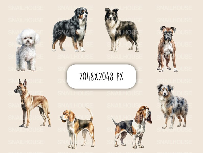 Dog Breeds Digital Clip Art Dog Breeds Clipart Set Dog Breeds Printable ...