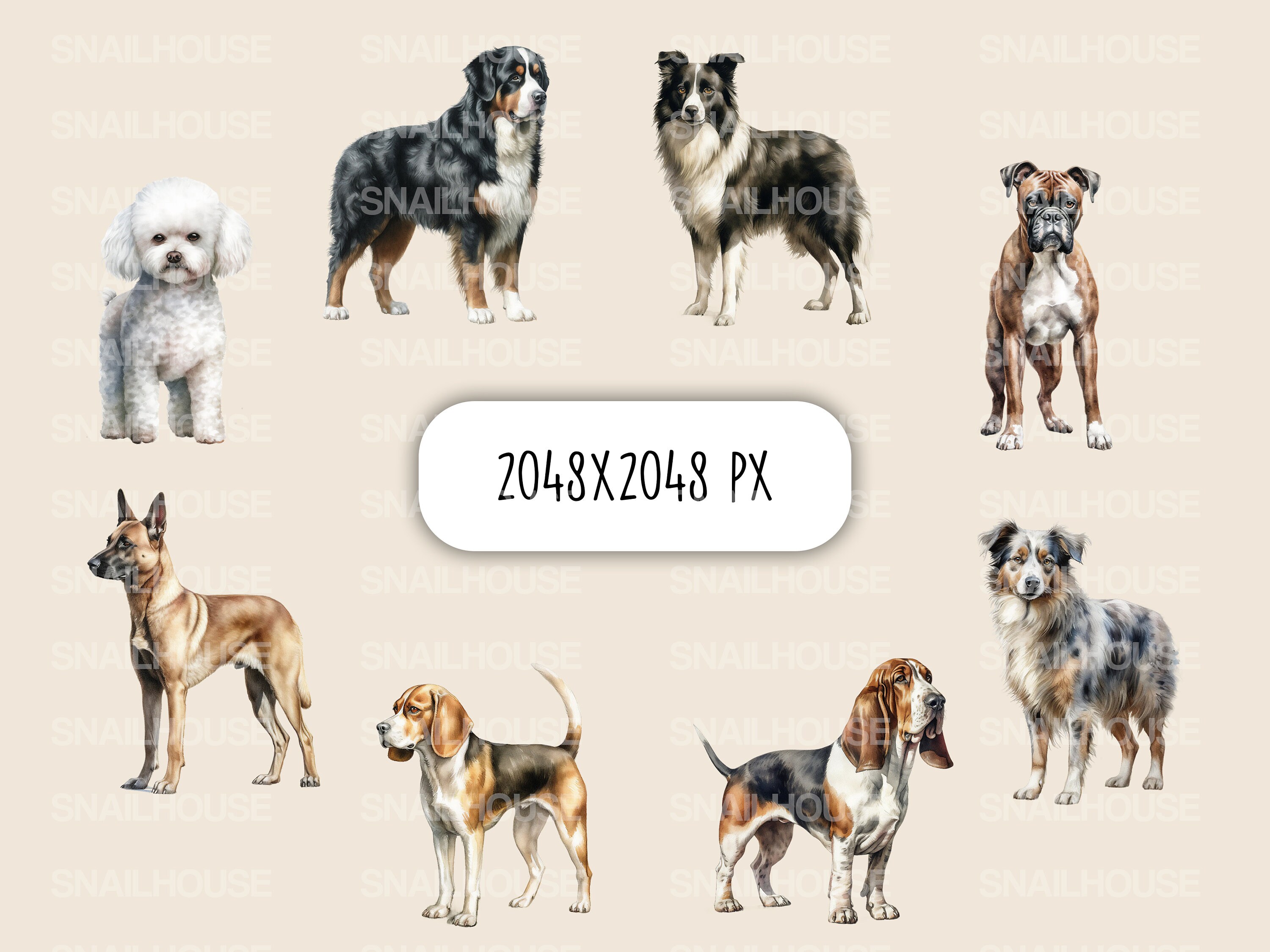 Dog Breeds Digital Clip Art Dog Breeds Clipart Set Dog Breeds Printable ...