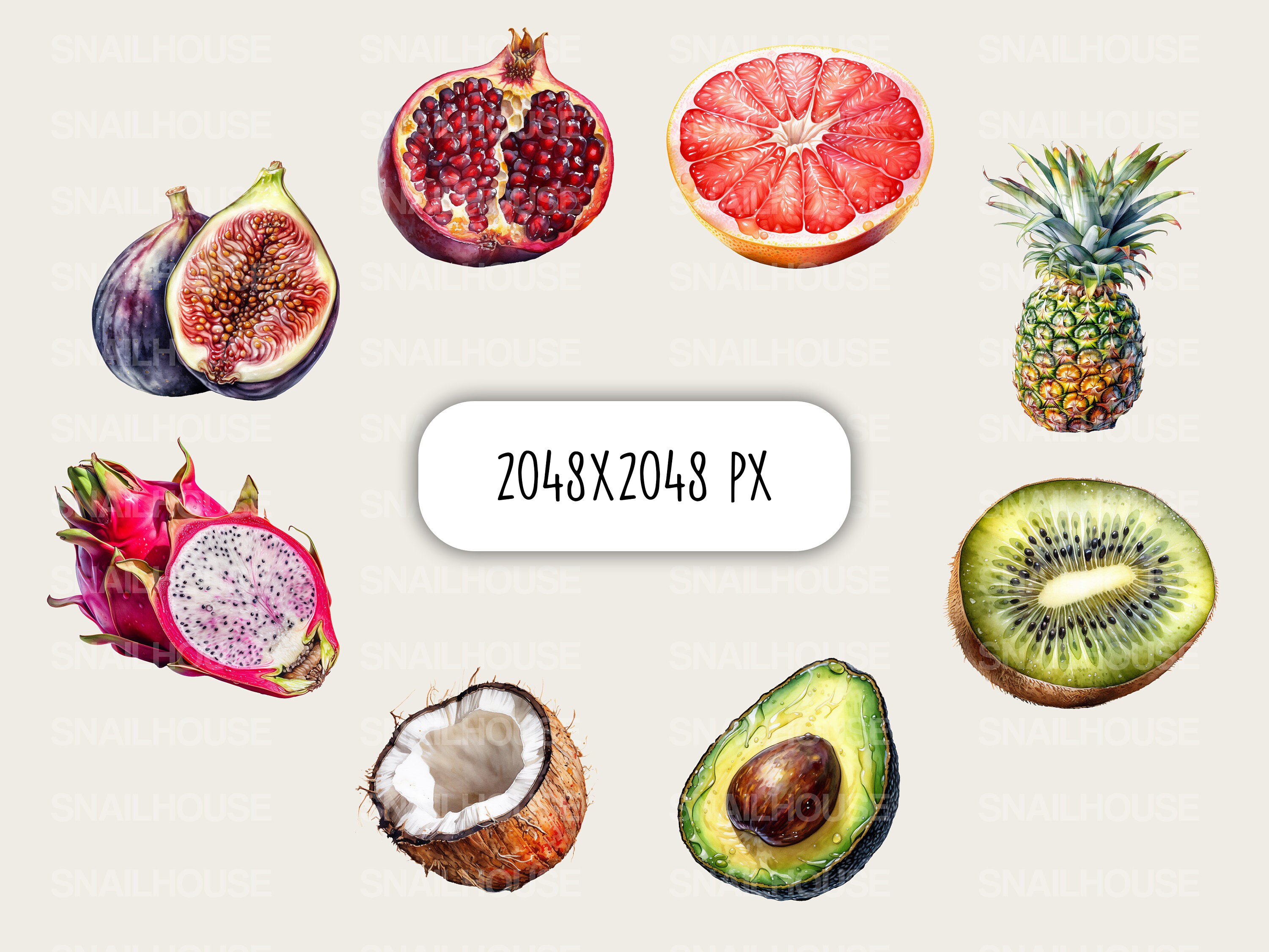 Watercolor Summer Fruit Clipart Digital Fruit Clipart FREE Commercial ...