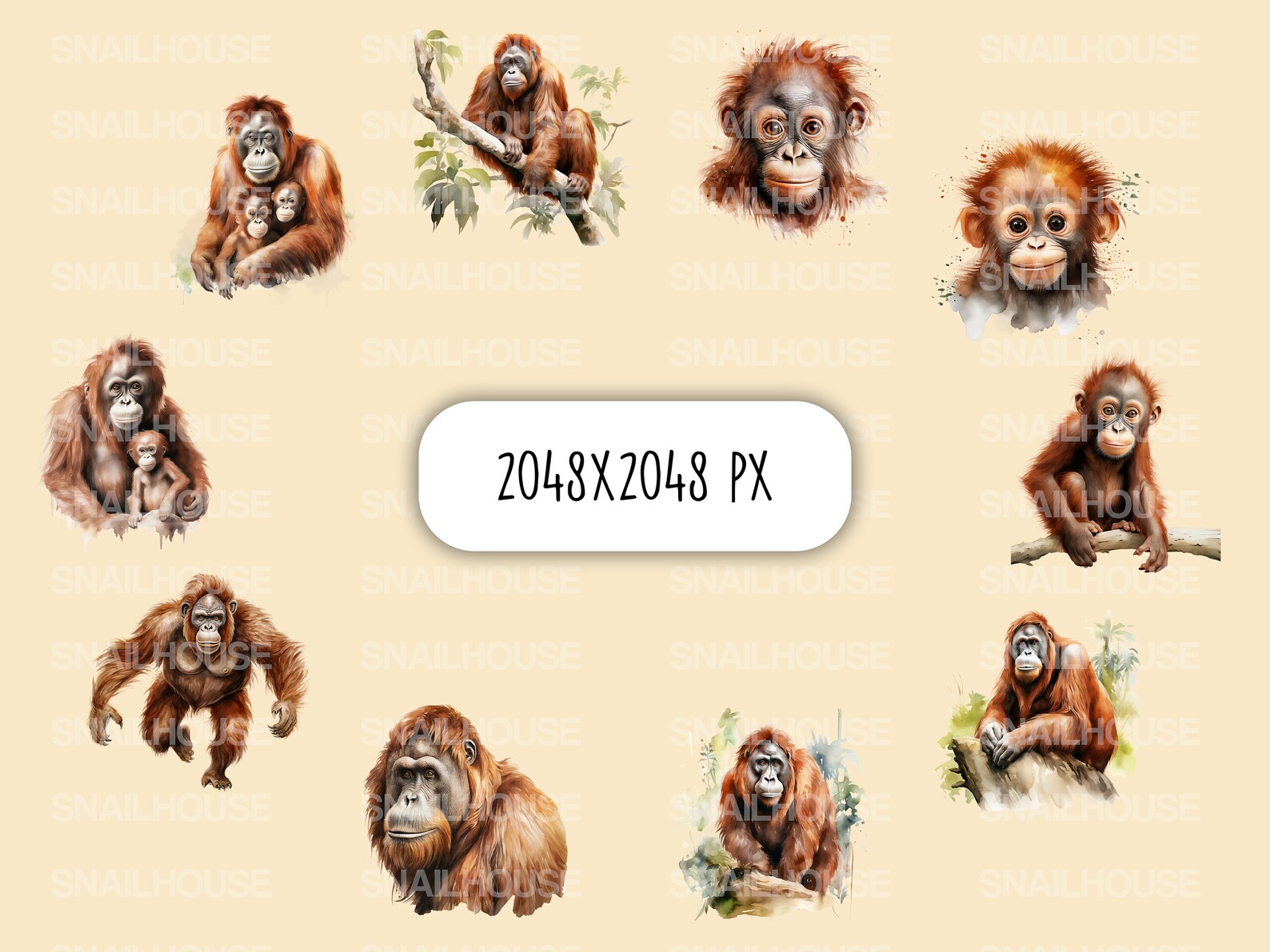 Watercolor Orangutan Clipart Bundle Commercially FREE Exotic Animals ...