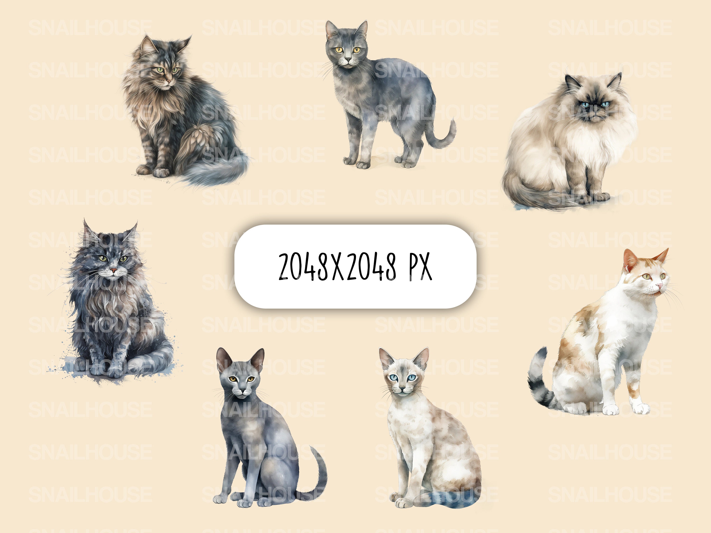 Watercolor Cat Clipart Digital Printable Cat Breeds Clipart FREE ...