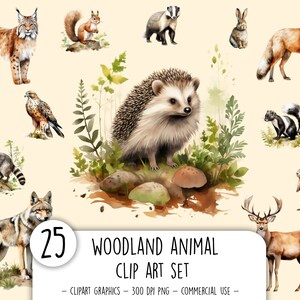 Watercolor Forest Animals Clipart Bundle FREE Commercial Use Digital ...