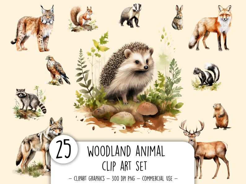 Watercolor Forest Animals Clipart Bundle FREE Commercial Use - Etsy