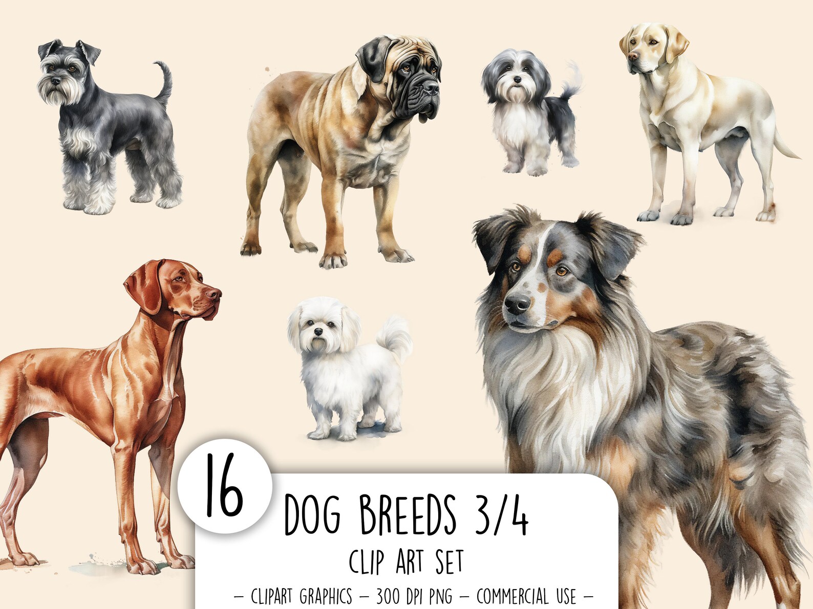 Dog Breeds Digital Clip Art Dog Breeds Clipart Set Dog Breeds Printable ...