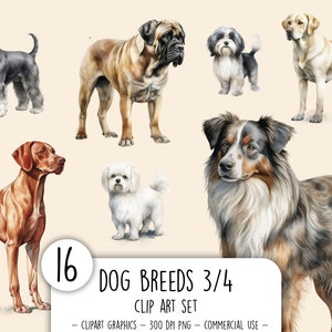Dog Breeds Digital Clip Art Dog Breeds Clipart Set Dog Breeds Printable ...