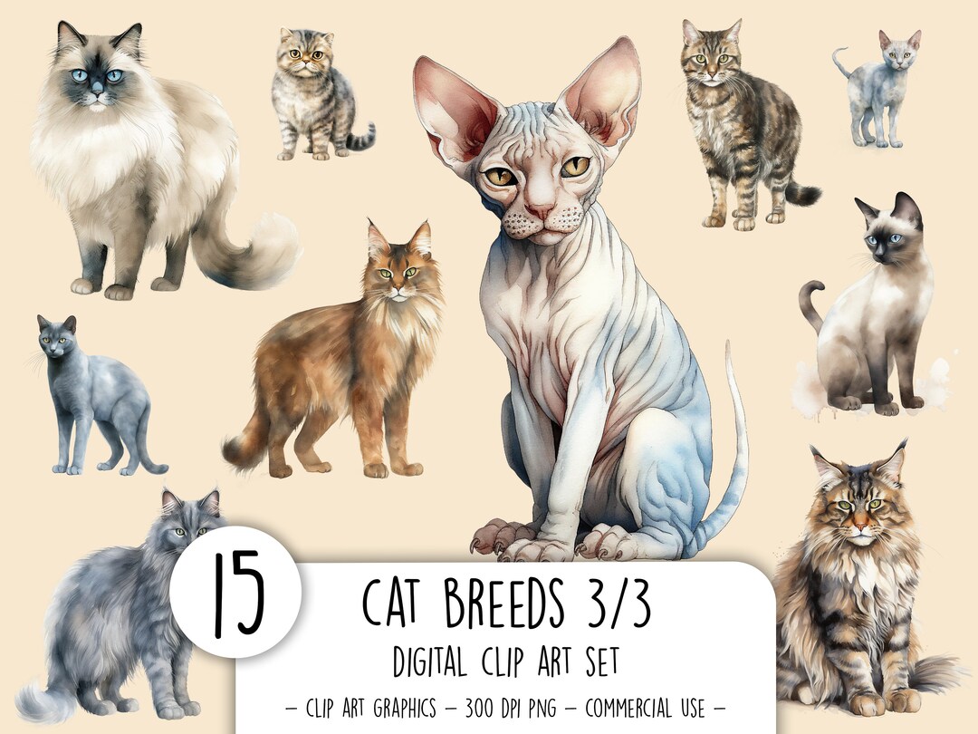 Watercolor Cat Clipart Digital Printable Cat Breeds Clipart FREE ...