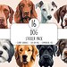 Dog Breeds Digital Stickers Dog Breeds Sticker Set Dog Breeds Printable ...