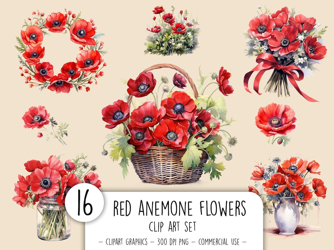Watercolor Red Anemones Clipart Bundle Commercially FREE Spring Flowers ...